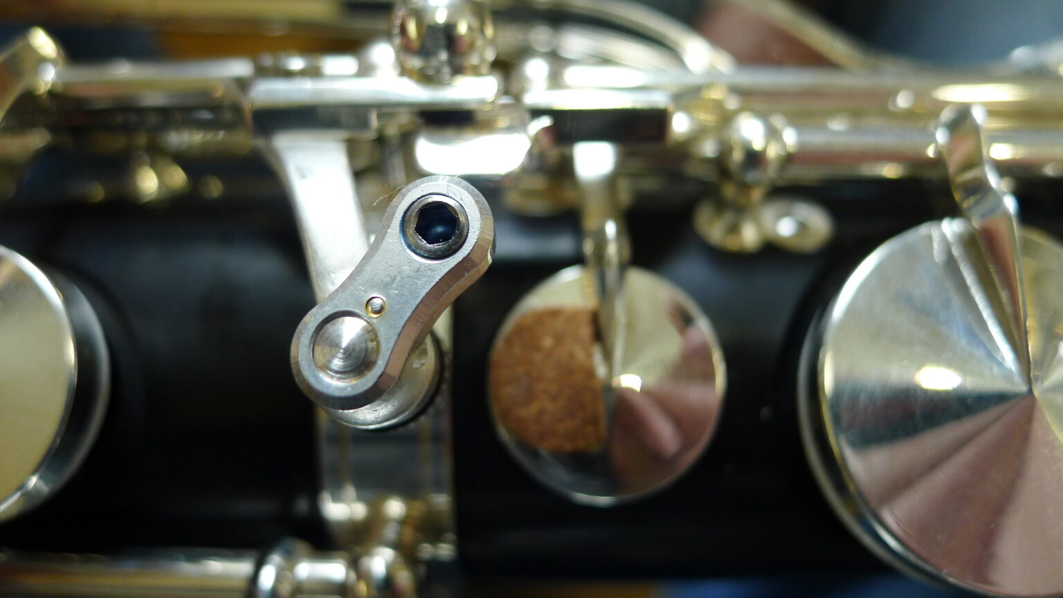 Bass Clarinets - Blashaus